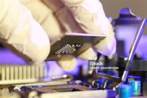 Technician Installing Cpu Chip Microprocessor Socket On Motherboard Technician Installing Cpu Chip Microprocessor Socket On Motherboard