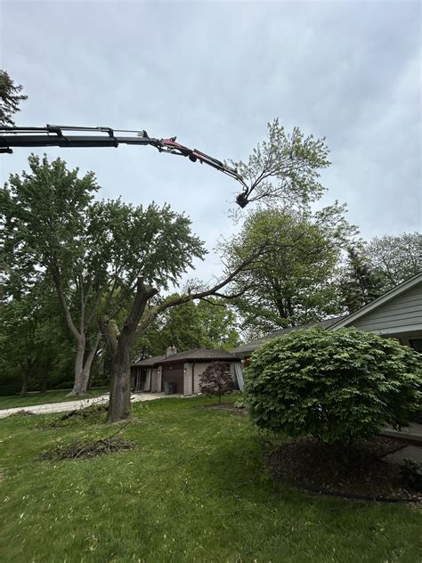 Tree Solutions Llc Added A New Photo Tree Solutions Llc