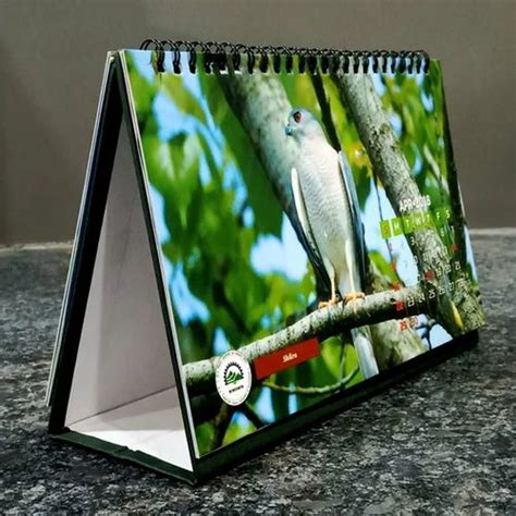 Table Calendar Printing Services Rs 100piece Colordrop Id