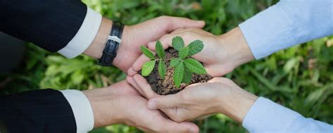 The Role Of Technology In Advancing Environmental Sustainability