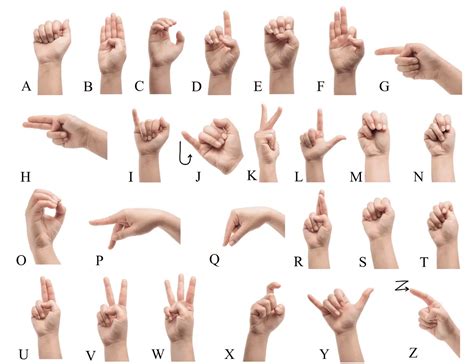 The Sign Language Alphabet Free Downloads For Beginner Fingerspelling