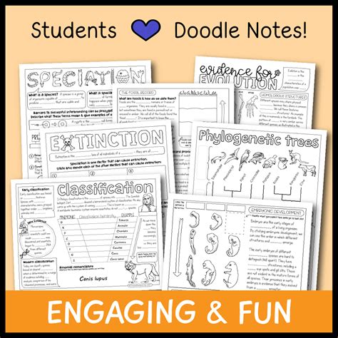Evolution And Classification Unit Bundle Doodle Notes Emmatheteachie