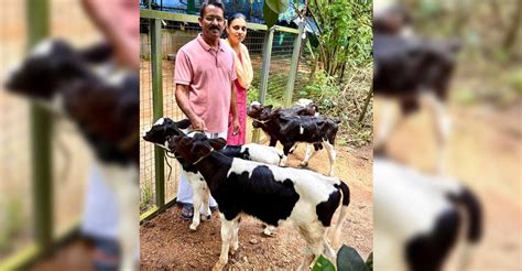 Breakthrough For Keralas Dairy Sector 2 Sets Of Twin Female Calves