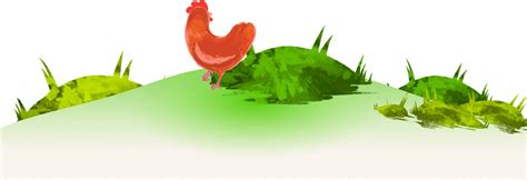 Egg Safety Tips Egg Storage And Handling