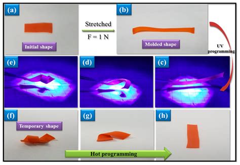 A New Type Of Photo Thermo Staged Responsive Shape Memory Polyurethanes Network