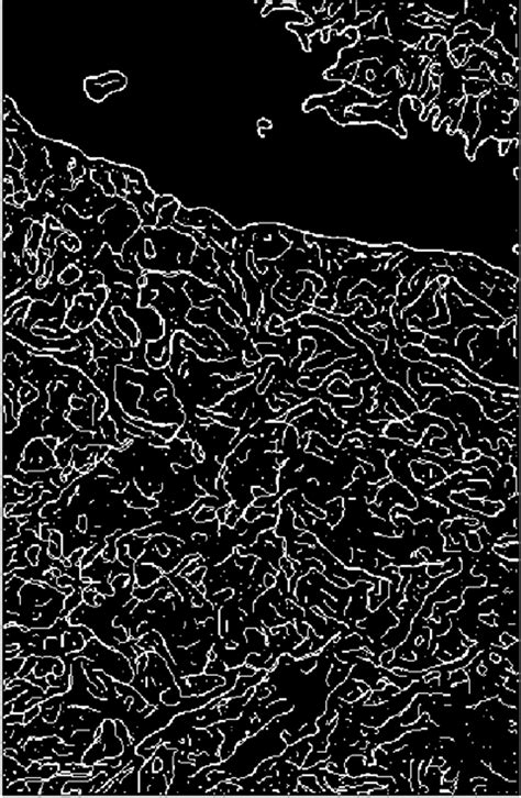 Morphological Pruning Of Spurious Pixels Of Figure 11 Download Scientific Diagram