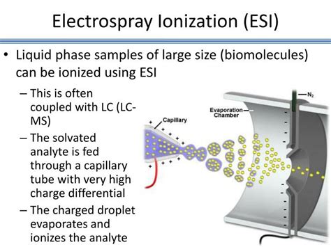 Electrospray Ionization Mass Spectrometry Esi Ms At Isabella Embry Blog