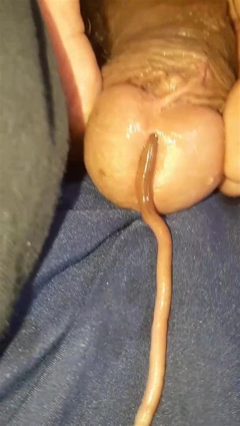 A Second Worm In Cock A Second Worm In Cock