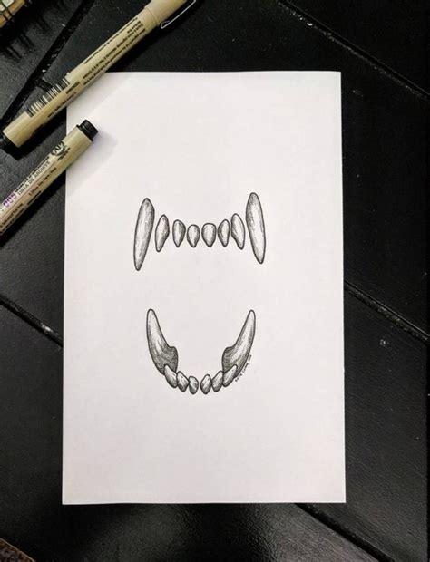 Wolf Teeth Drawing At Explore Collection Of Wolf