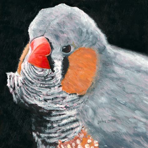 Zebra Finch — Julie Riley Art