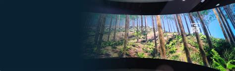 智慧林业可视化解决方案 地球可视化实验室 团队致力于提供基础应用开发，助力数字孪生从业者，开发相关业务。