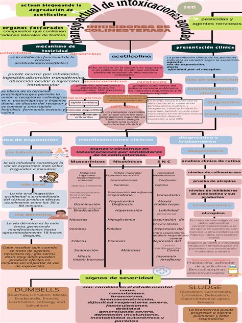Farmacologia Mapa Conceptual Pdf Acetilcolina Sinapsis