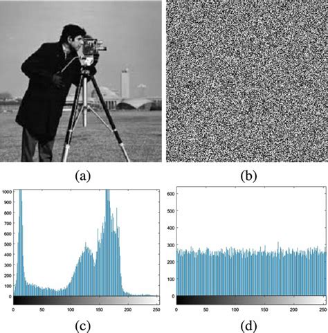 A Cameraman Image Having Size Of 256 Is Considered As Plaintext B