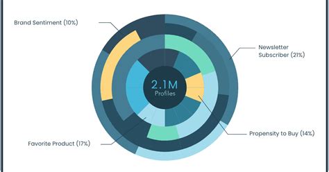 Segmentation Blueconic