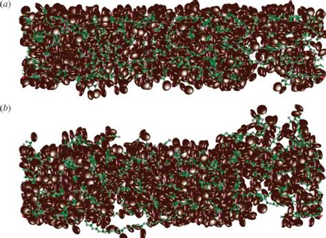 Thin Film Of Atactic Polystyrene A Initial Condition Before