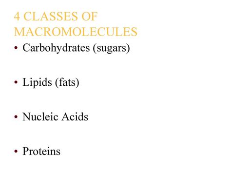 4 Classes Of Macromolecules Ppt Download