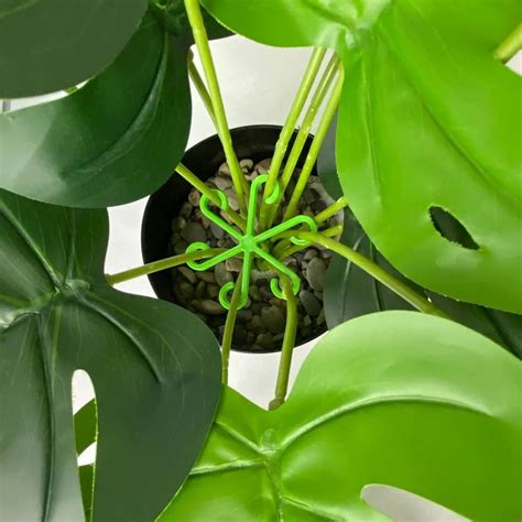 Plant Stem Support Frame