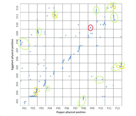 Eggplant Map Vs Pepper Genome Genetic And Physical Positions Of Download Scientific Diagram