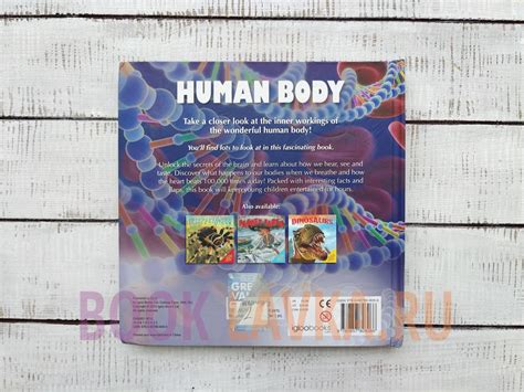 Human Body купить в интернет магазине Booklavka Буклавка