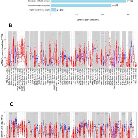 in silico protein protein interaction analysis a string interaction