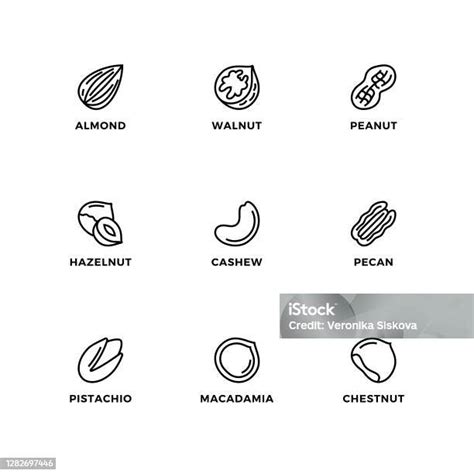 디자인 요소 로고 디자인 템플릿 너트용 아이콘 및 배지의 벡터 집합입니다 아이콘에 대한 스톡 벡터 아트 및 기타 이미지 아이콘 헤이즐넛 견과 Istock