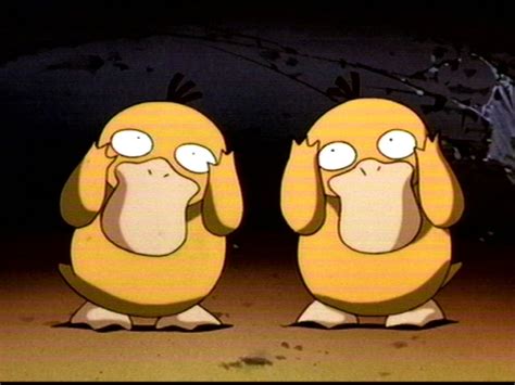 Psyduck Wallpaper