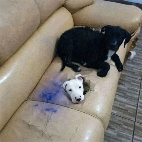 30 Confusing And Funny Photos Without Any Context