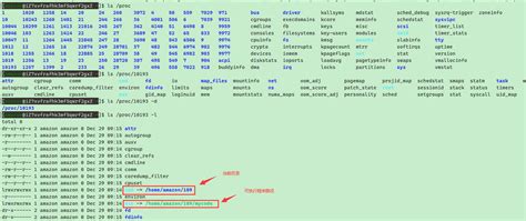 一文初识linux进程（超详细！） csdn博客