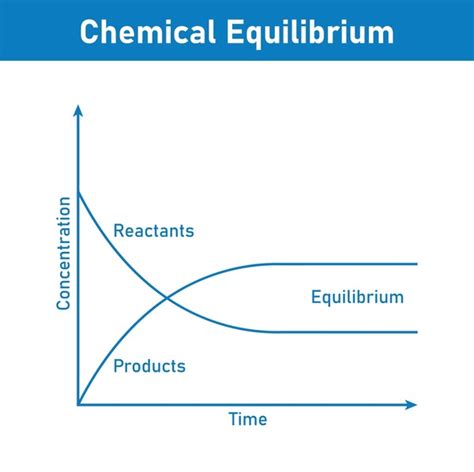 50 Concentration Graph Equilibrium Reaction Stock Vectors And Vector