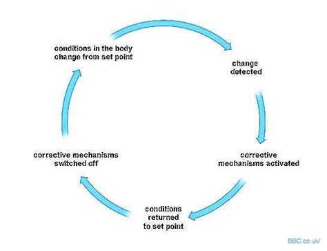 Adaptive Artificial Pancreas Shows Good Results Gt Health