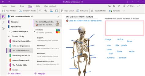 Using OneNote Class Notebook For Babe EPortfolio Support And Information Zone