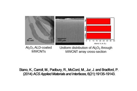 Conformal Atomic Layer Deposition Of Alumina On Millimeter Tall Vertically Aligned Carbon