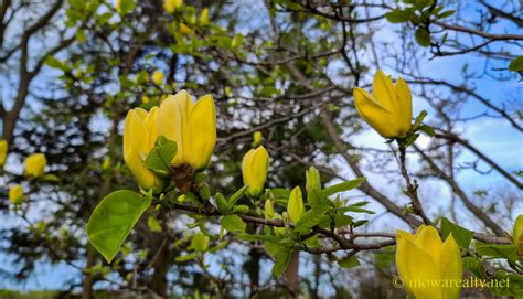 Ticky Tacky Tenants Holtz Realty