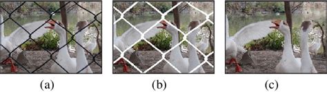 figure 1 from fully automated image de fencing using conditional