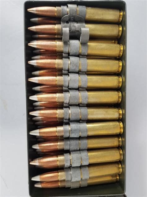 50 Cal Api Ammo 100 Linked Rounds