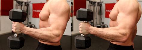 Dumbbell Hammer Curl