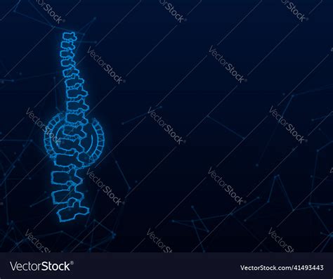 Plexus Spine Human Graphic Icon Anatomy Royalty Free Vector Plexus Spine Human Graphic Icon Anatomy Royalty Free Vector