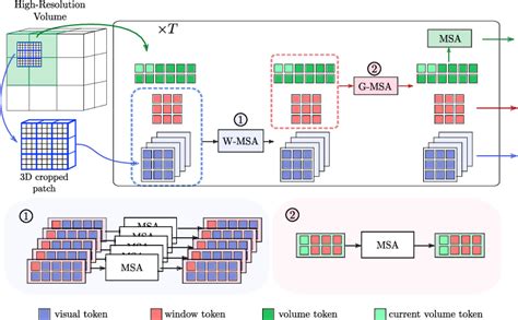 Figure 2 From Memory Transformers For Full Context And High Resolution 3d Medical Segmentation