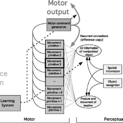 conceptual computational sketch of motor control and motor learning on