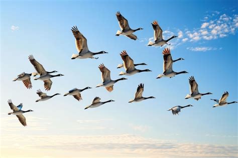 Migratory Birds Flying Migration Premium Ai Generated Image