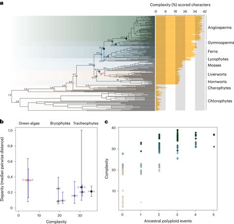 Evolution Of Phenotypic Complexity Within The Plant Kingdom A The