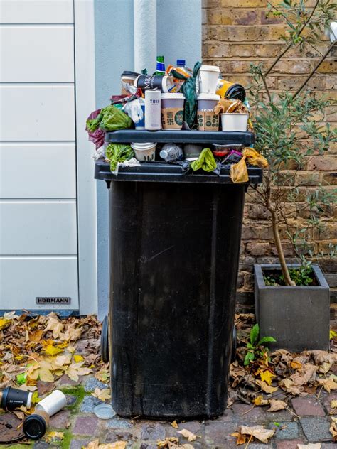 Müll richtig trennen Was gehört in welche Tonne ecosistant