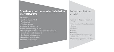 Panel On The Left Trigeminal Neuralgia Core Outcome Set Cos Panel Download Scientific