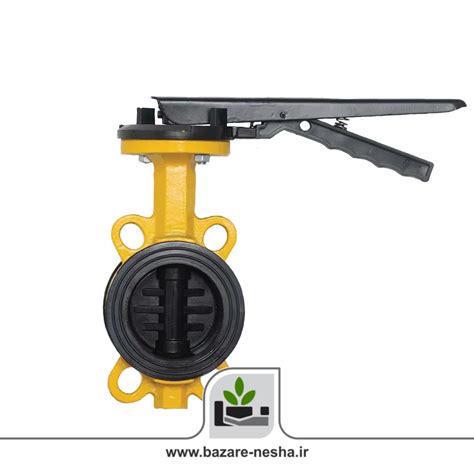 شیر پروانه‌ای بازارنشا