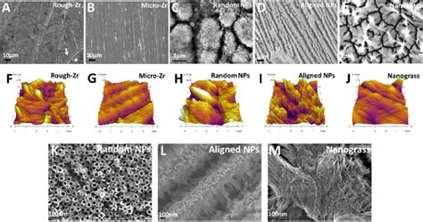Characterization Of Surface Topography Of Nano Engineered Zr Top View