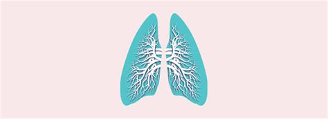 End Stage Copd Stage 4 Signs Survival And Care Options