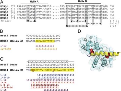 Calmodulation Meta Analysis Predicting Calmodulin Binding Via