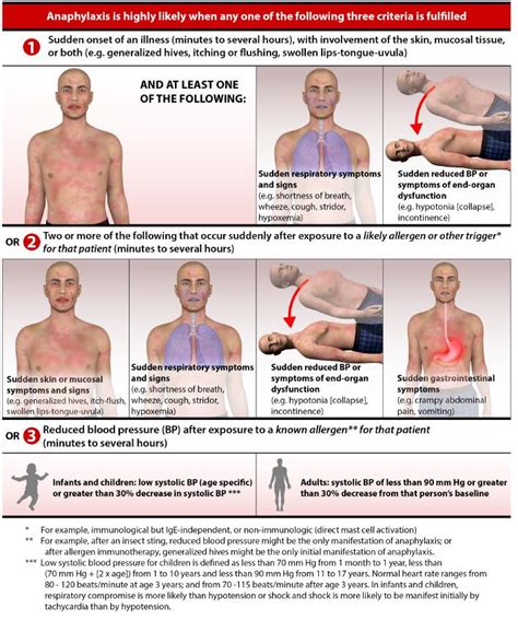2020 Anaphylaxis Updates Mast Cells United