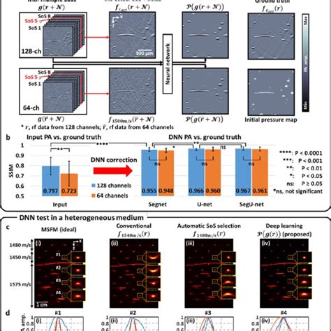 A Deep Neural Network Dnn Training And Testing In A In Silico Download Scientific Diagram