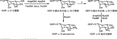 figure 1 from structural modifications and yield improvements of